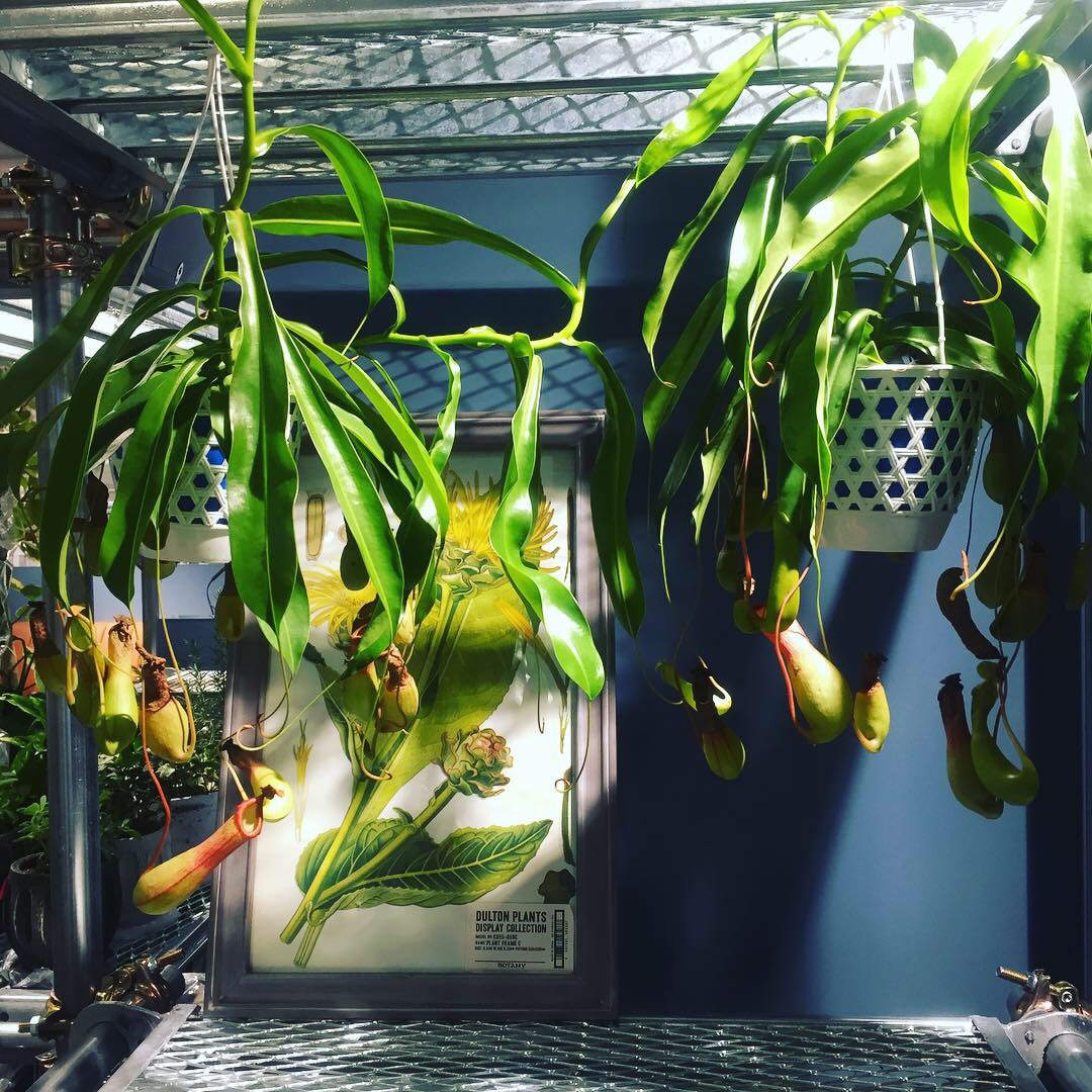 The JOHNSON STORE ザ・ジョンソンストア